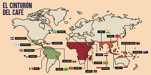 ¿Qué es el cinturón del café? - Cafeteros Chile
